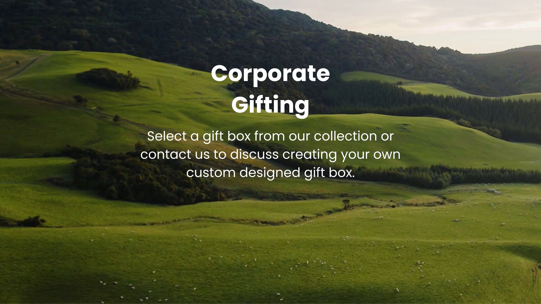 Prime Range Fresh | Export quality meat at affordable prices